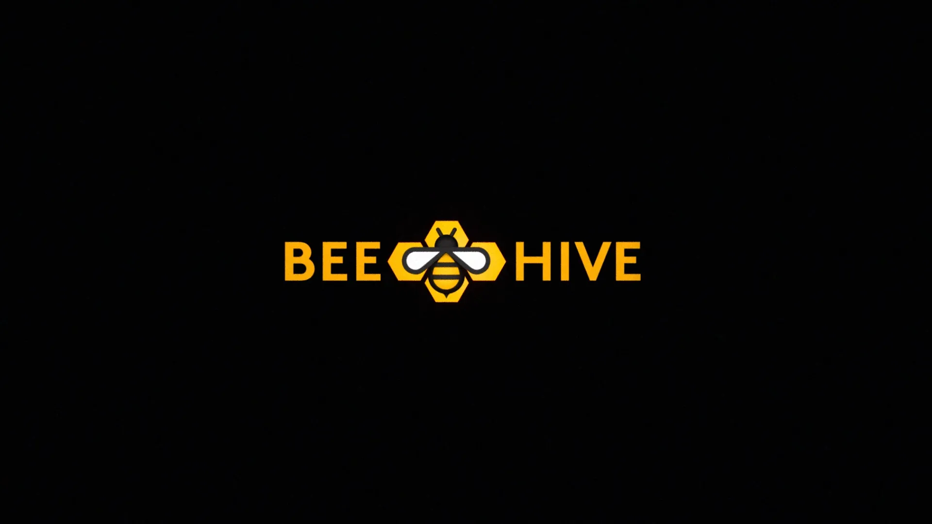Bee-Hive | Filmograph